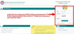How to download EPF Passbook and UAN Card online instantly?
